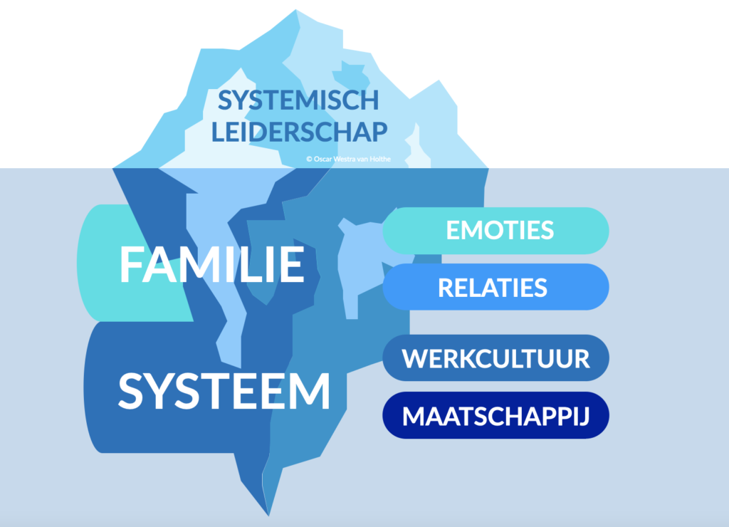 Systemisch Leiderschap – Leadership Journey – ABN Amro Bank – Team Coach Zuidas